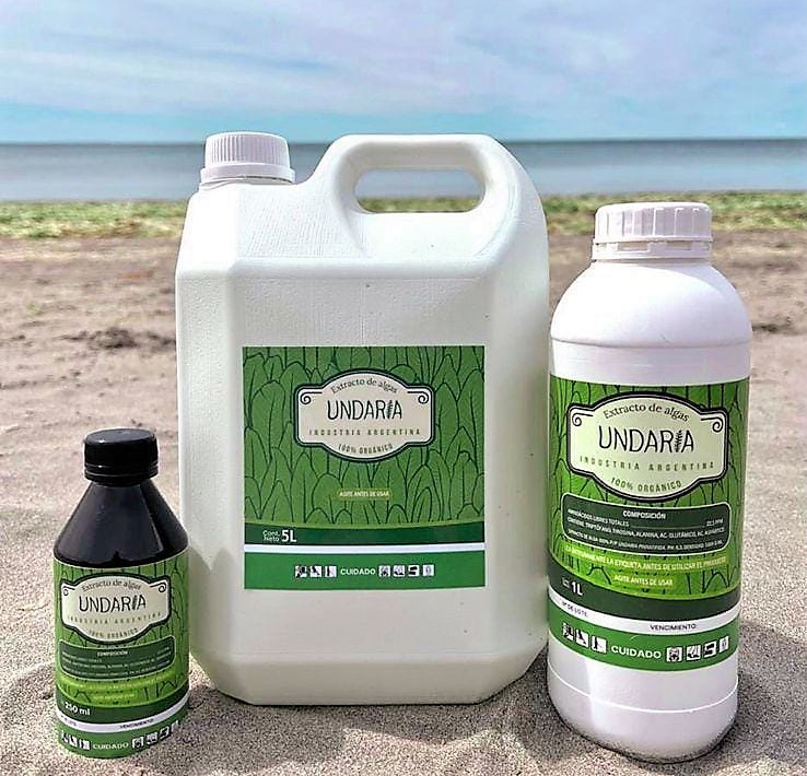 UNDARIA S.S.: ALIANZA PARA LA FABRICACIÓN Y DISTRIBUCIÓN DE UN ...